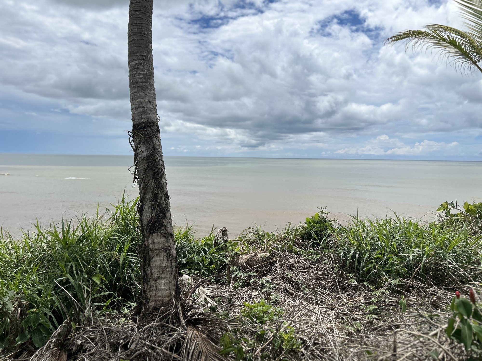 Properties Overlooking Tropical Caribbean Coastline for Sale in Miguel ...